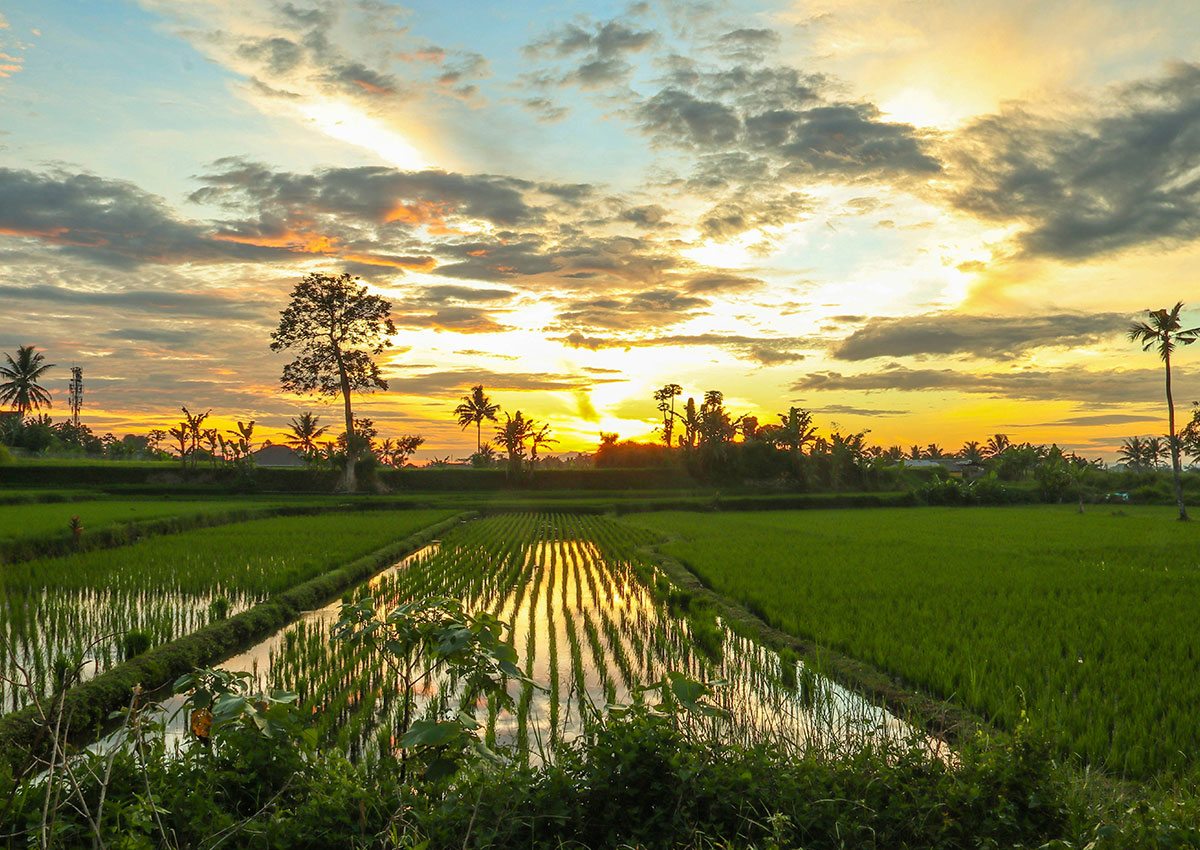 High Court grants interim relief in 6,000sqm agricultural land zoning ...